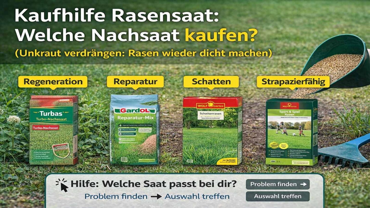Neu Gester Rasen Nicht Dicht